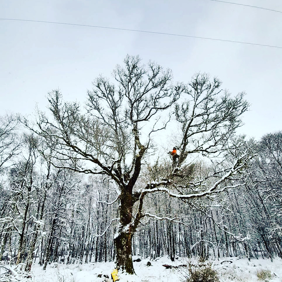 About Us – Wilson Contractors